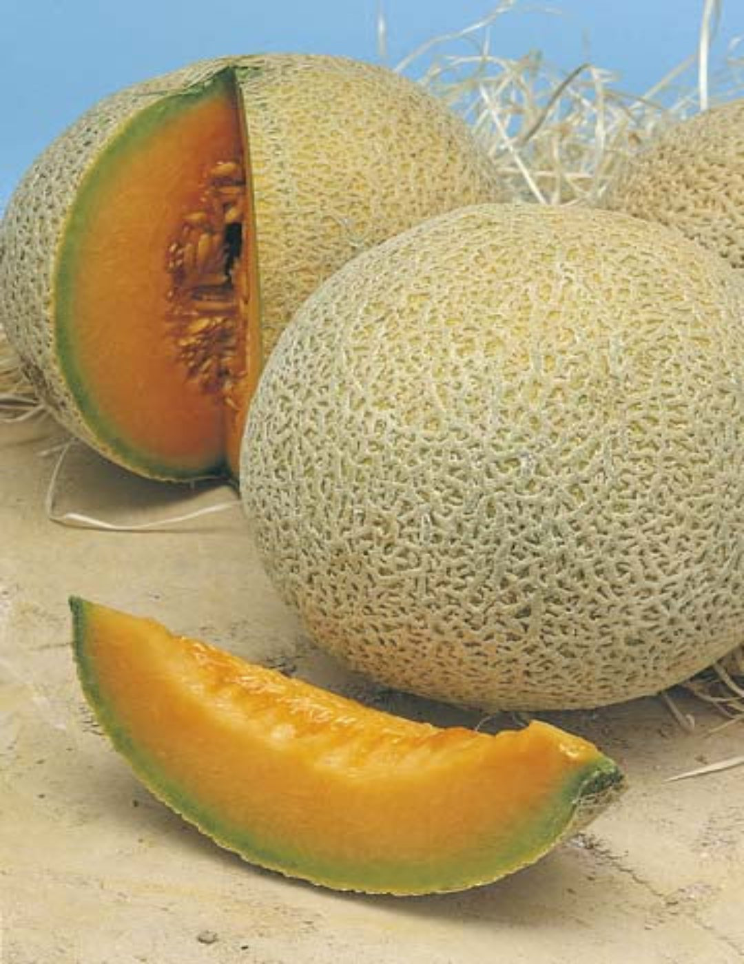 Hales Best Rockmelon Seeds | Mr Fothergill's Seeds NZ