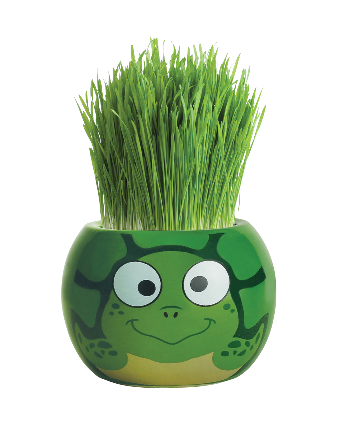 Grass Grow Kit - Ocean Animals (Turtle) | Mr Fothergill's NZ